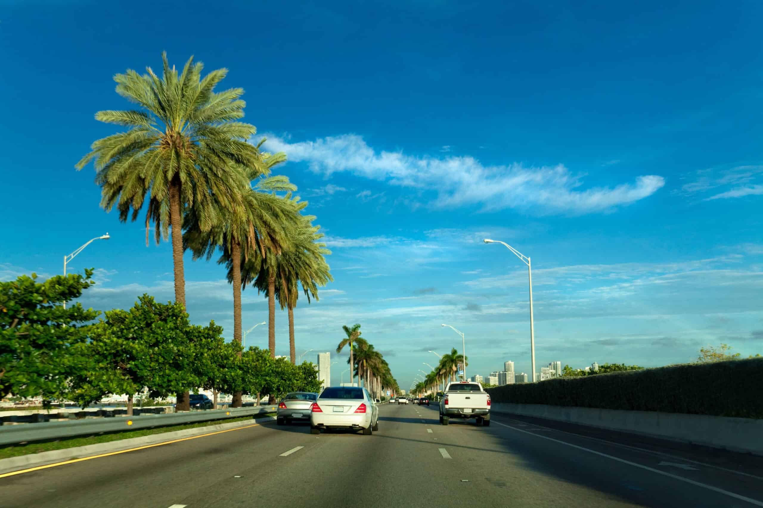 A Complete Guide To Moving Within Florida | Teleport Moving and Storage